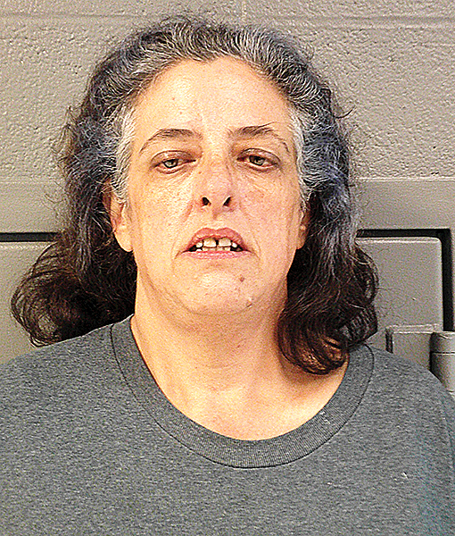 Mill Creek woman allegedly cut lock on meter, stole water | News ...